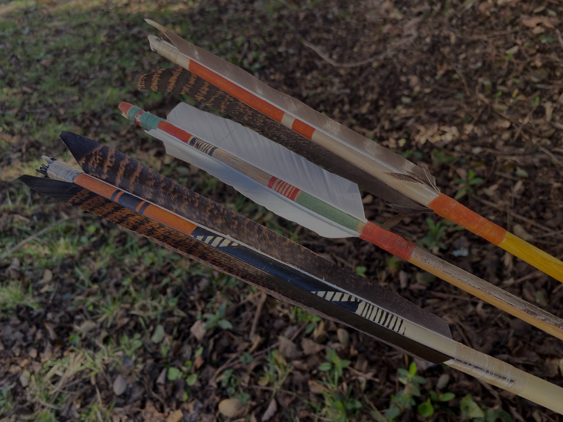 Primitive Pathways – Follow the Footsteps of your Ancestors…