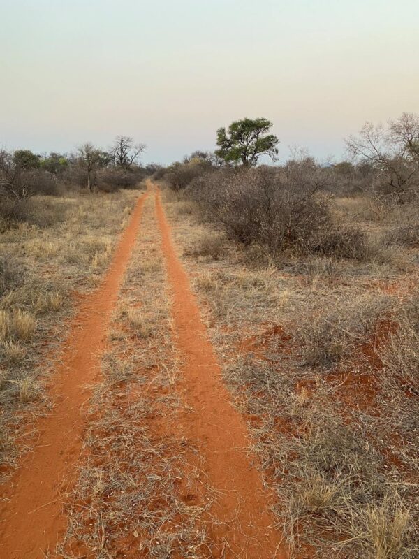 Primitive Pathways – Follow the Footsteps of your Ancestors…
