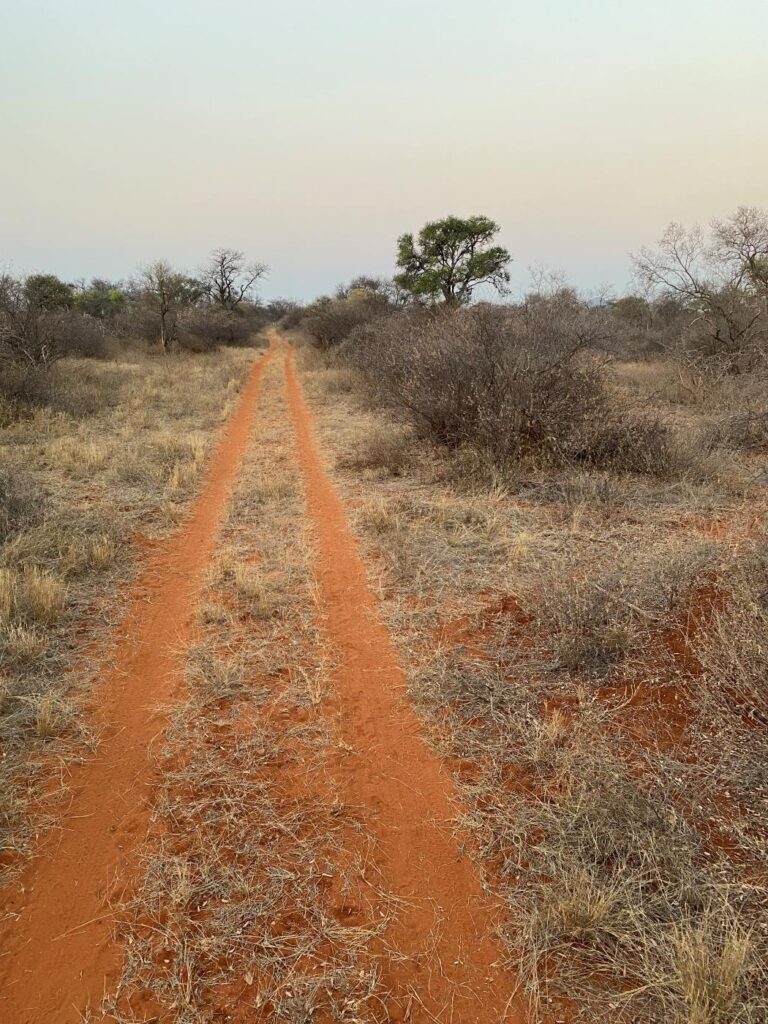 Primitive Pathways – Follow the Footsteps of your Ancestors…