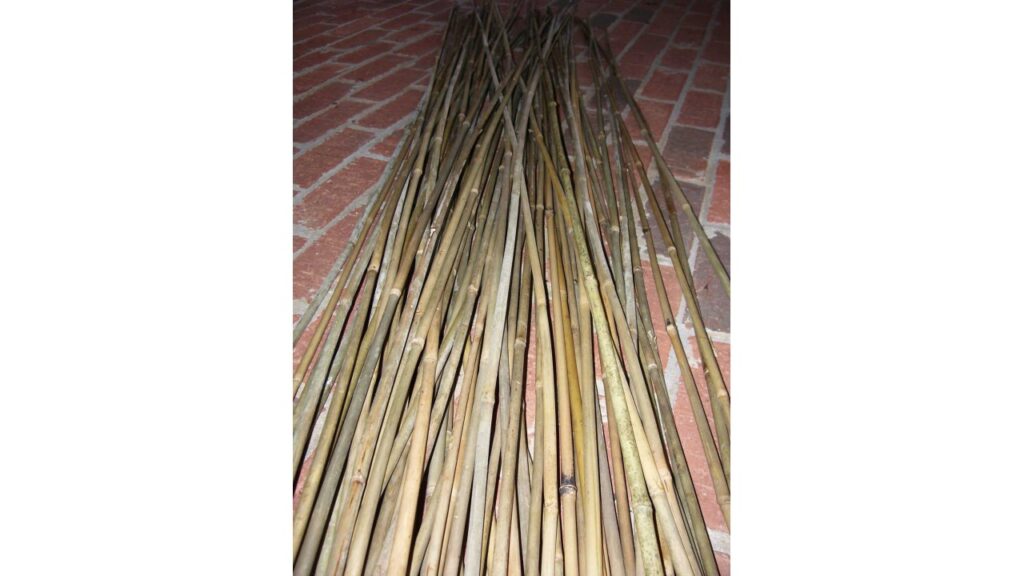 Tonkin Cane Arrowshafts (12 ct) – Primitive Pathways