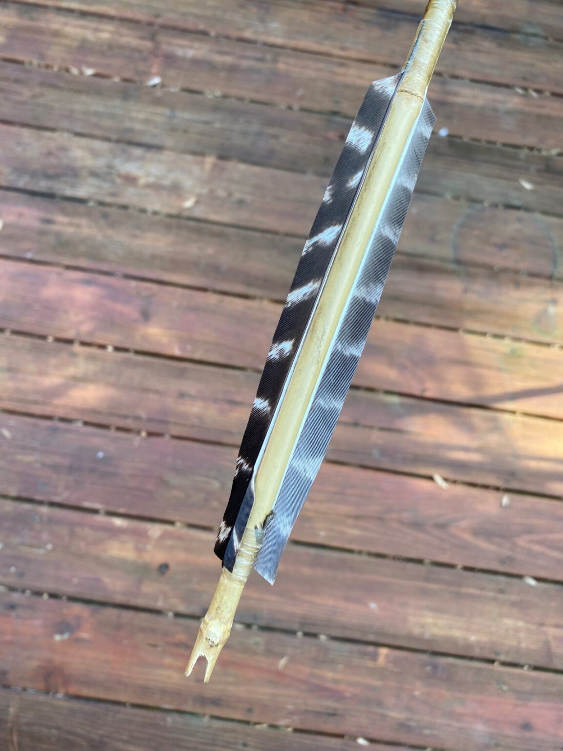 Primitive Pathways – Follow the Footsteps of your Ancestors…